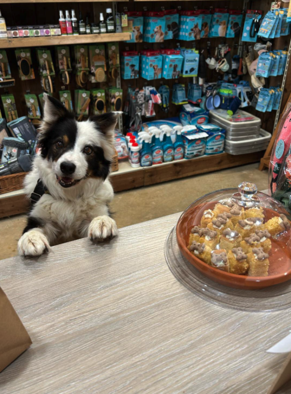 Retailers | The 1867